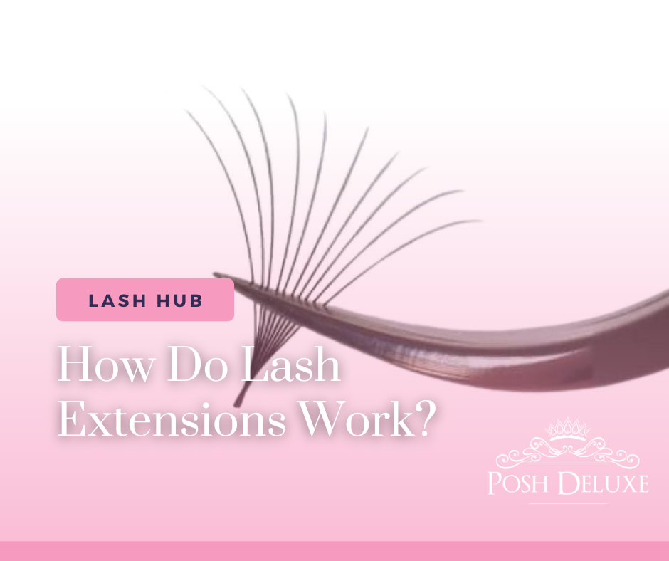 How Do Lash Extensions Work? A Complete Guide by Posh Deluxe