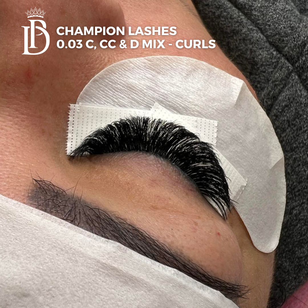 C Curls - Champion Black Lashes | Volume Lashes